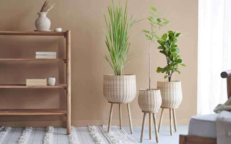 How to Decorate Living Room Corners with Vases: Cozy Ideas