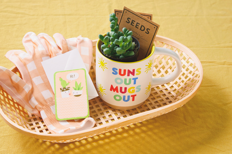 Thoughtful Potted Plant Gift Ideas for Any Occasion